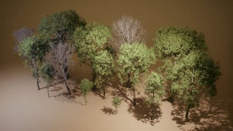 Desire Fx 3d Models Foliage Vol45 Beech Trees Unreal Engine