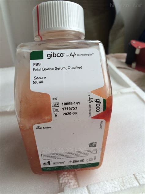 Gibco活性炭处理胎牛血清fbs 血清 培养基 环保在线