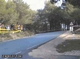 Saved By The Tree GIF Know Your Meme Saved By The Tree GIF Know Your Meme