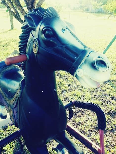 Premium Photo Person Standing On Grass