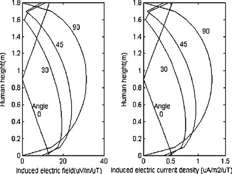 The Internal Induced Electric Fields And Current Densities For Download Scientific Diagram
