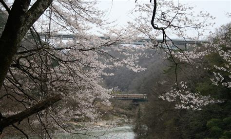 散歩 中央駐車場つつじ橋 あいらぶ天龍峡