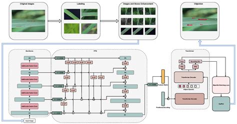 Disease Detection And Identification Of Rice Leaf Based On Improved Detection Transformer