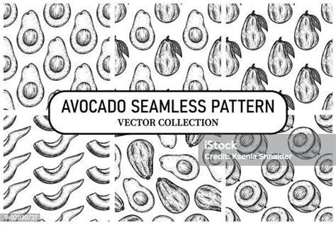 아보카도 원활한 벡터 패턴 세트 전체 과일 반으로 자르고 슬라이스하십시오 잎이있는 가지에 씨앗 잘 익은 펄프가있는 신선한 야채 손으로 그린 흑백 음식 스케치 배경 수집