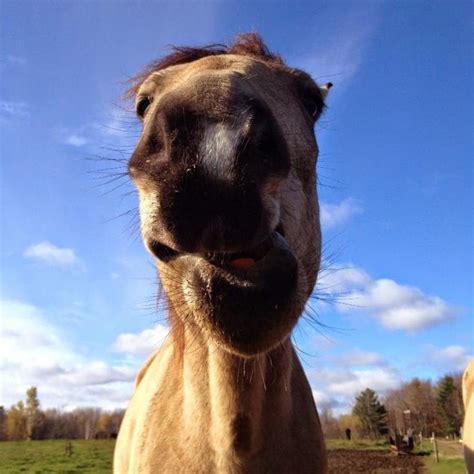 Danielle Mcnamee Youtube