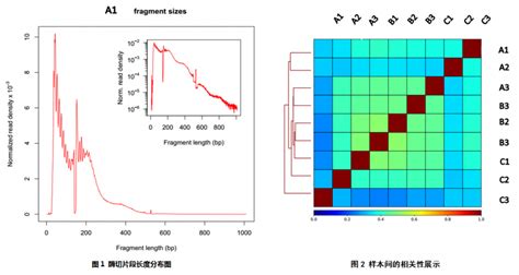 【暂停服务】开放性染色质测序技术（atac seq 科研服务 上海伯豪生物技术有限公司 服务科技创新，护航人类健康！