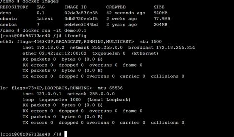 Installing Docker On Fedora Linux Using Dnf Command By Rishabh Bidya