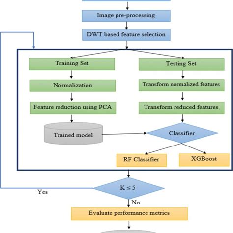 Schematic Representation Of The Proposed Method For Identifying Plant