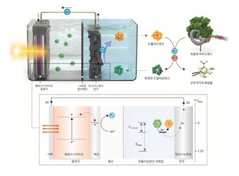 Unist 교수팀 바이오매스 기반 태양광 수소 생산 시스템 개발