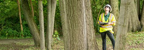 What Can Urban Tree Canopy Analysis Tell You Davey Tree