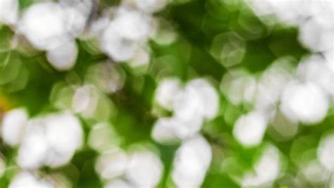 Premium Photo Bokeh Texture