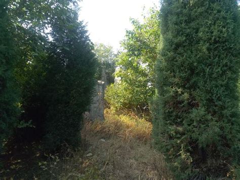 寶坻知青村 每日頭條