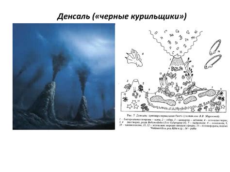 Основы палеонтологии. Лекция 1 - online presentation