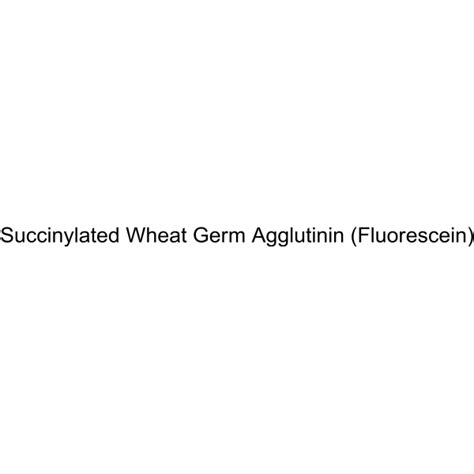 Succinylated Wheat Germ Agglutinin Fluorescein Wga Fluorescein Plant Agglutinin