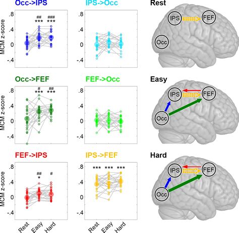 Reconfiguration Of Functional Brain Networks And Metabolic Cost Converge During Task Performance