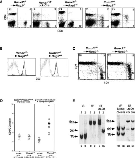 Differential Requirements For Runx Proteins In Cd4 Repression And