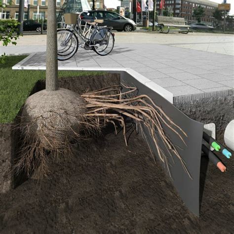 Tree Root Guide Greenmax Groenoplossingen Tree Root Guide Greenmax Groenoplossingen
