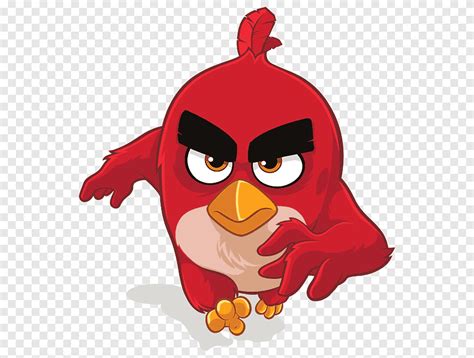 앵그리 버드 스텔라 앵그리 버드 Pop앵그리 버드 스페이스 앵그리 버드 스타 워즈 Ii 앵그리 버드 경기 대장균 Png Pngegg