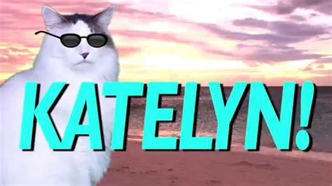 Happy Birthday Katelyn Epic Cat Happy Birthday Song Youtube