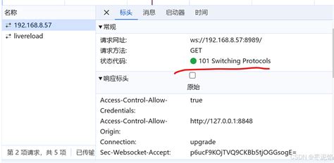 Netty搭建websocket服务器，postman可以连接，浏览器无法连接postman Netty Csdn博客