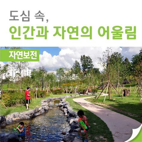도심 속 인간과 자연의 어울림 초등학생 생태 체험학습 공간 초안산 생태공원 네이버 블로그
