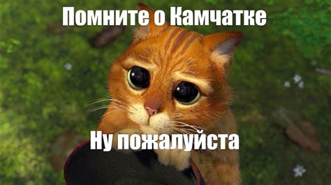 Мем Ну пожалуйста Все шаблоны Meme