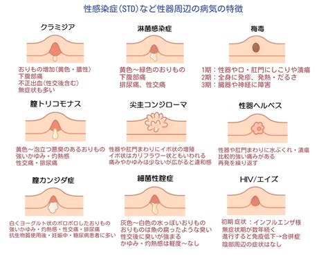 性行為で奥 子宮 が痛い、性行為後もお腹の痛みがある場合の原因と対策 性の悩み「生育」