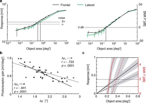 Measures Of Object Detectability Thresholds For Single Photoreceptors Download Scientific