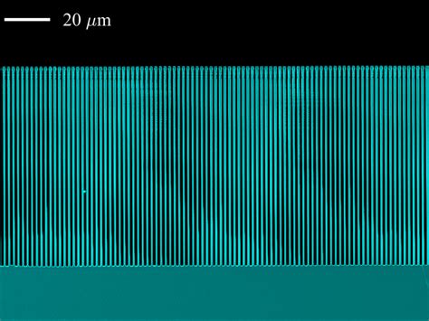 Fabrication Of High Aspect Ratio Gratings For X Ray Grating
