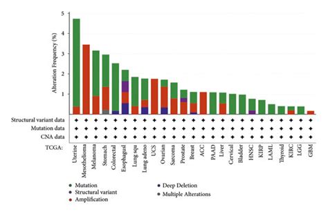 Genetic Alteration Analysis Of Tle3 Using The Cbioportal Tool