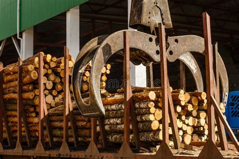 Industrial Log Loader At Lambermill Stock Image Image Of Outdoor Environment 299579333