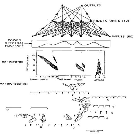 Continuous Speech Processing The Traditional Ann Uses Acoustic Psd Download Scientific Diagram