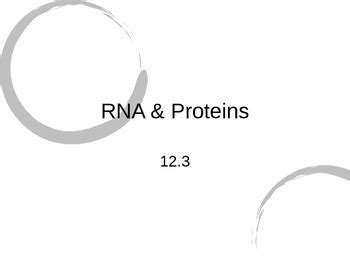 RNA Proteins Transcription Translation PowerPoint By Science Fun