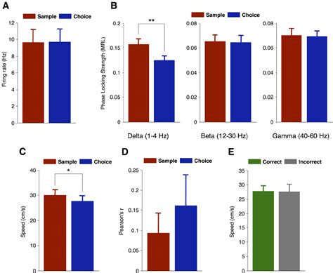 Mpfc Theta Oscillations Are Selectively Enhanced During Working Memory Download Scientific