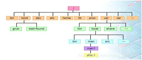 linux系统常用基本命令总结 linux系统中可以使用以下那种工具完成 命令功能 csdn博客