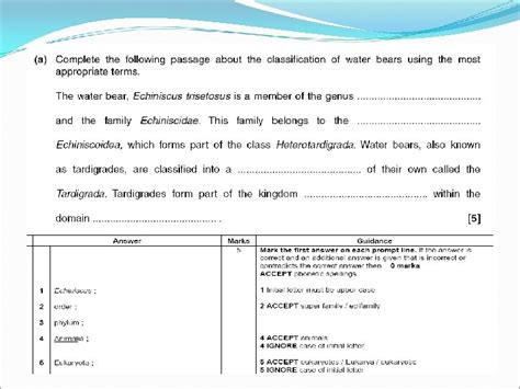 Classification And Binomial Naming Starter Classification What Do