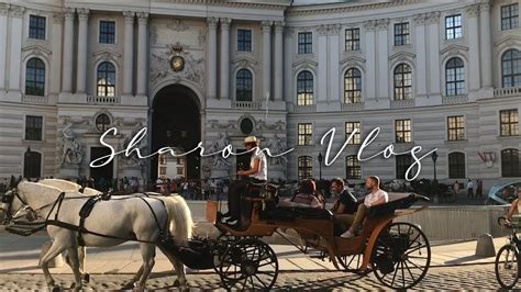 샤론vlog5 프랑스일상vlog프랑스꽃학교 유학일상이야기florist Vlog 오스트리아 빈 여행 브이로그 1탄빈 맛집관광명소 Youtube