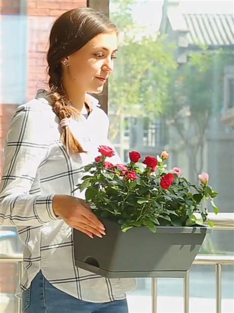 Planting Vegetable Basin Long Striped Flower Basin Home Balcony Planting Box Rectangular Flower