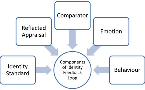 5 Five Components Of Identity Feedback Loop Download Scientific Diagram