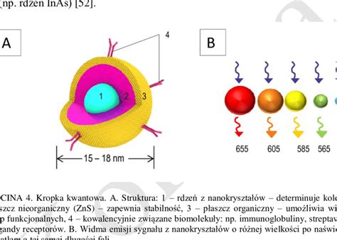 Quantum Dot A Structure 1 Nanocrystals Core Determines The Download Scientific Diagram