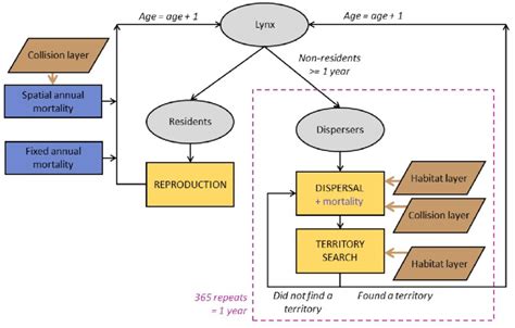 Figure A Diagram Of The Main Structure Of The SE IBM With The Main Download Scientific