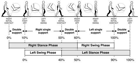 Gait Analysis Khám Phá Cách Phân Tích Và Ứng Dụng Vào Y Tế Thể Thao