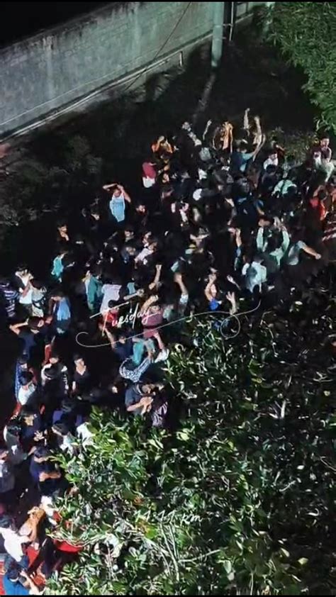 Vignans Lara🤍 Vignans Lara Stuff • Instagram Photos And Videos