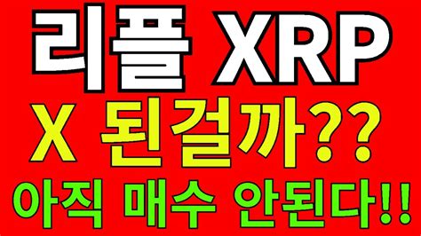 리플 하락장 매수는 얼마까지 스톰엑스 골렘 세타퓨엘 시빅코인 Youtube