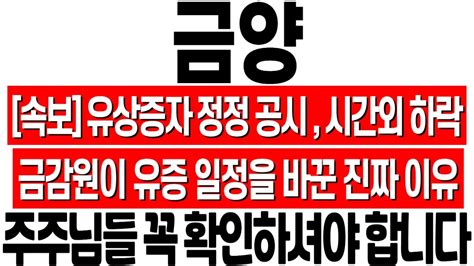 금양 주가 전망 유상증자 정정 공시 나오면서 시간외 하락 금감원이 유증 일정을 바꾼 진짜 이유 금양 주식 분석 금양 유상증자 금양 신주인수권 금양 기장공장