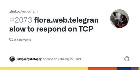 Slow To Respond On Tcp · Issue 2073 · Zhukovwebogram · Github