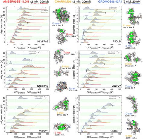 Collision Cross Section Analysis Of Aggregate Structure Ensembles
