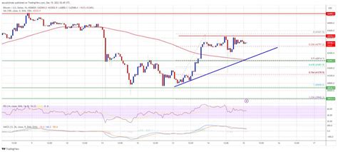 Bitcoin Price Uptrend To Continue These Could Be The Factors To Watch