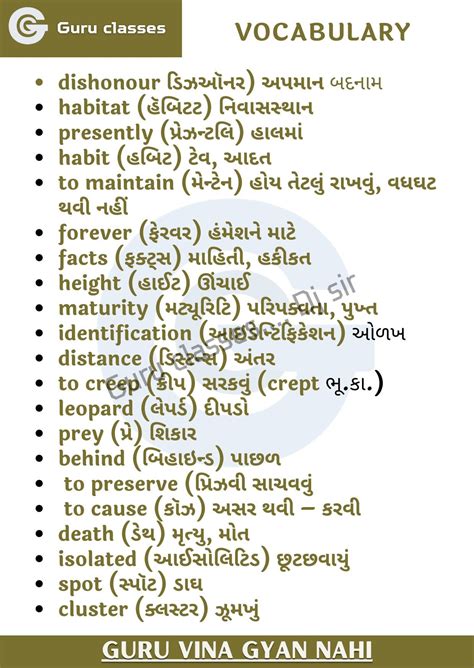 Learn English Vocabulary Words