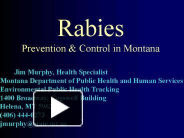 Ppt Rabies Prevention Powerpoint Presentation Free To Download Id Eb Nzvlo